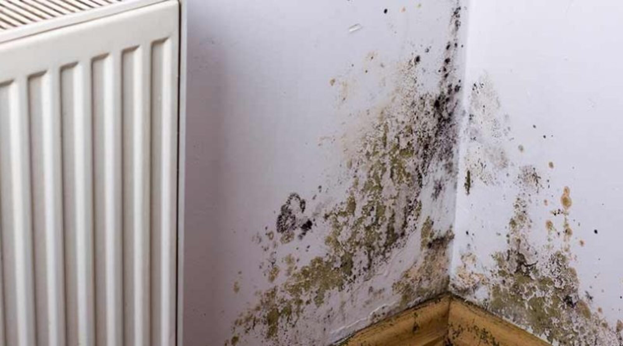 Masonry Paint | Smooth White Wall Paint
