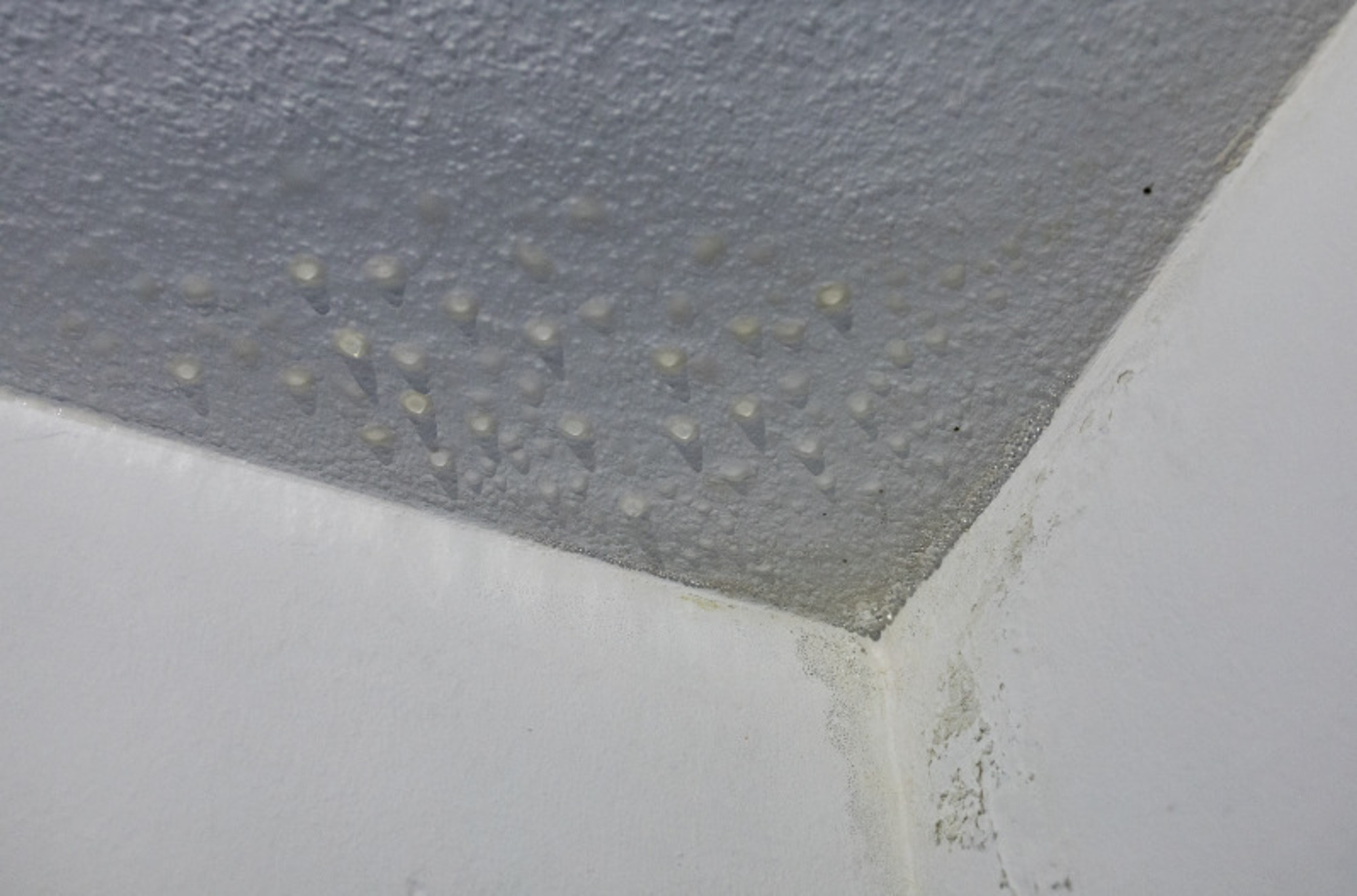 Anti-Condensation Paint | Bedroom Condensation