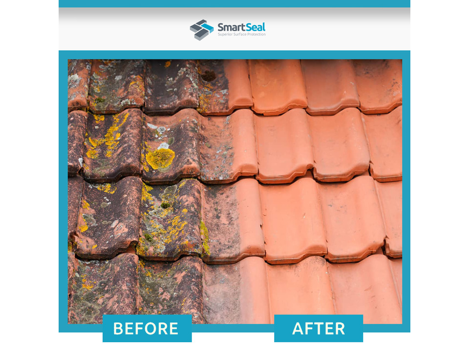 Roof Cleaning Before And After Roof Cleaning North Penn Power