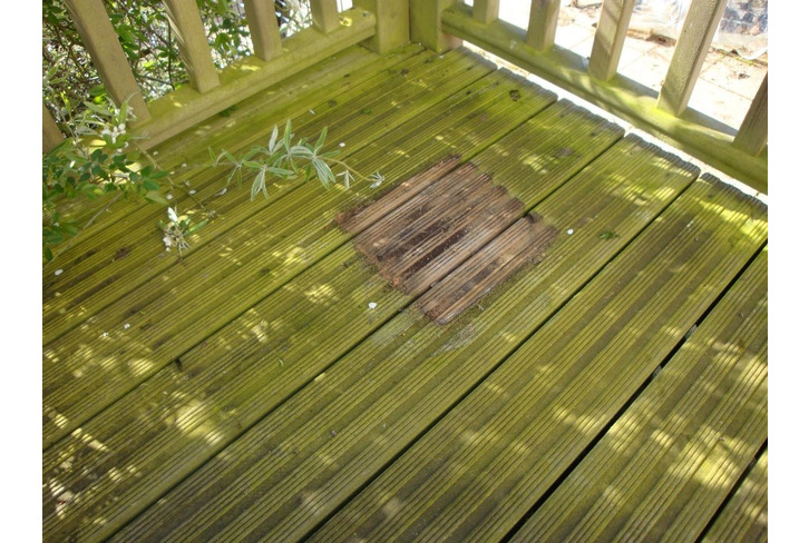 Best Moss Killer | Roof Moss Remover | Tarmac Moss Killer | Green Algae ...