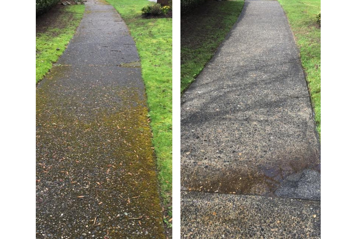 Roof Moss Remover | Moss Remover for Patios | Moss Killer for Tarmac ...